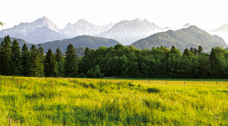 Natural Gas - American Gas Association