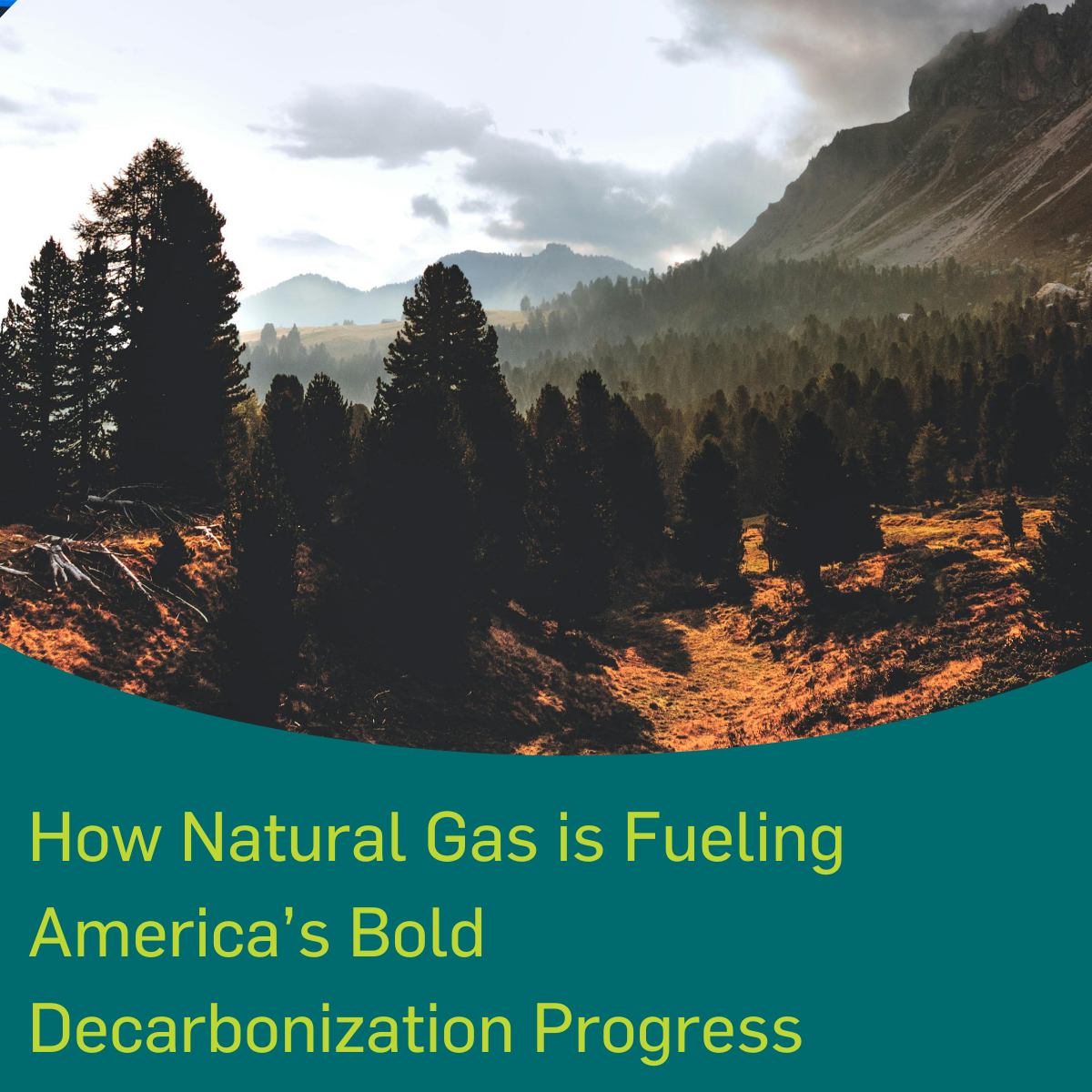 How Natural Gas is Fueling America’s Bold Decarbonization Progress ...